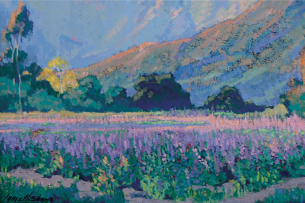 In a New Light: Member Preview – Asheville Art Museum Store